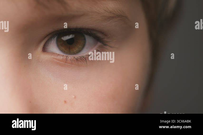 Boy's Look. Beautiful child looking at the camera and Blinking ...