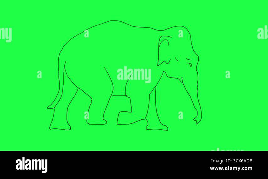 animation - cartoon hand drawn elephant slowly walking on green screen ...