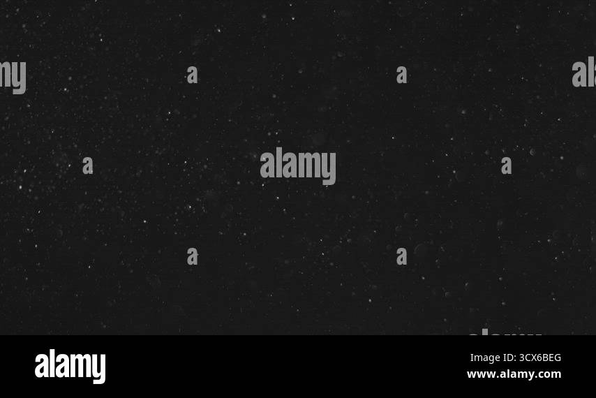 Dust flying on a black background, ashes small particles Stock Video ...