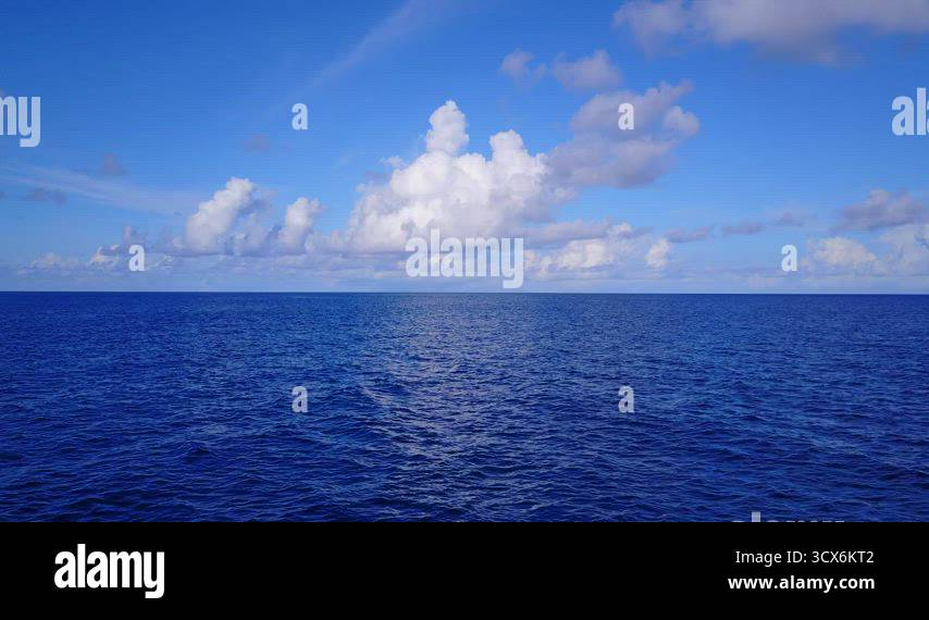 Drone view texture of perfect coast beach wildlife by clear water and ...