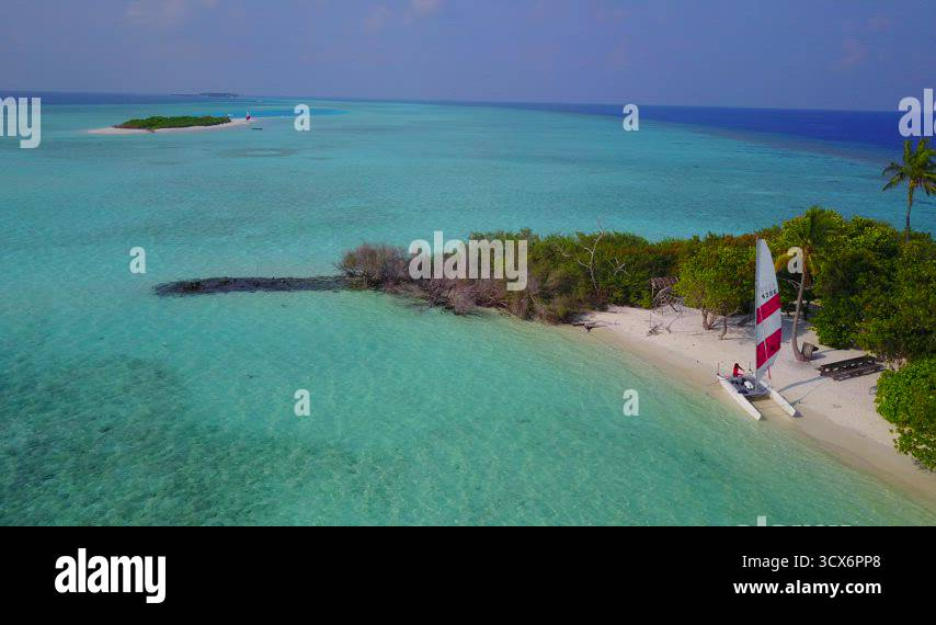 Aerial drone scenery of relaxing lagoon beach wildlife by transparent ...