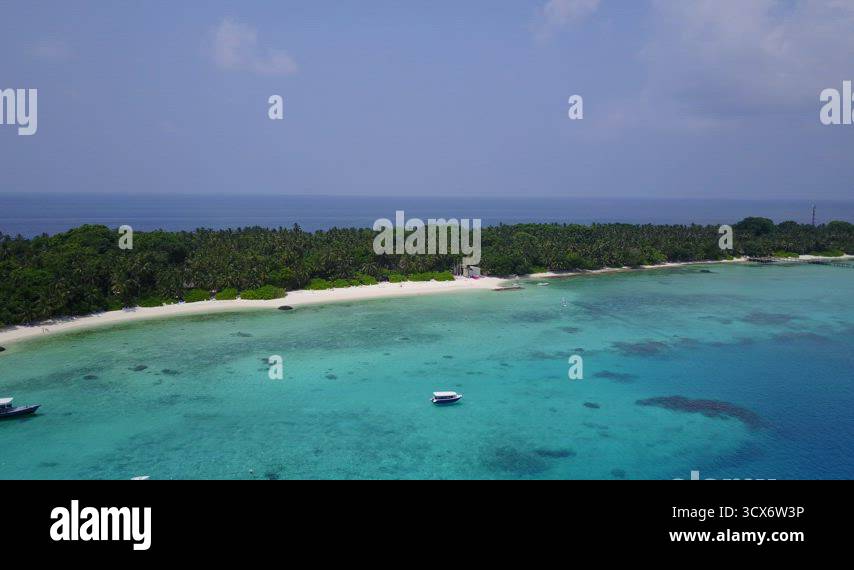 Aerial drone panorama of tropical seashore beach wildlife by blue ocean ...
