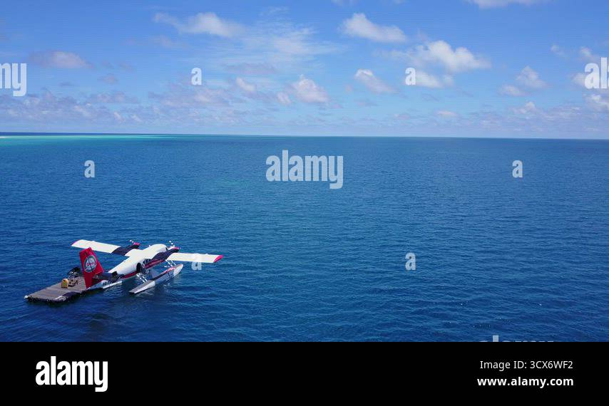 Aerial landscape of marine bay beach wildlife by turquoise water and ...