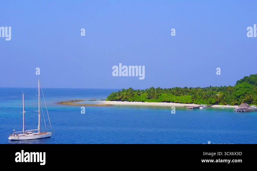 Aerial view scenery of tranquil seashore beach wildlife by clear water ...