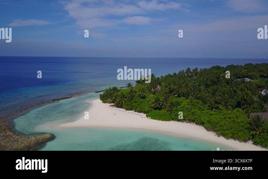 Aerial drone tourism of relaxing island beach wildlife by clear lagoon ...