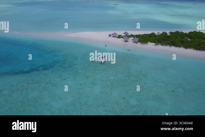 Aerial drone scenery of tropical shore beach wildlife by shallow lagoon ...