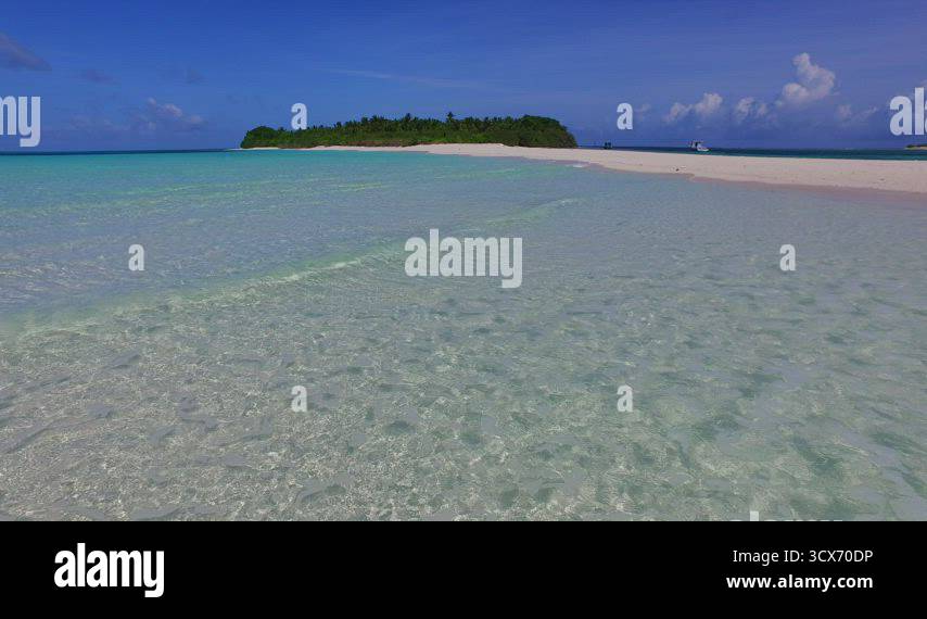 Sunny tourism of marine seashore beach lifestyle by transparent lagoon ...