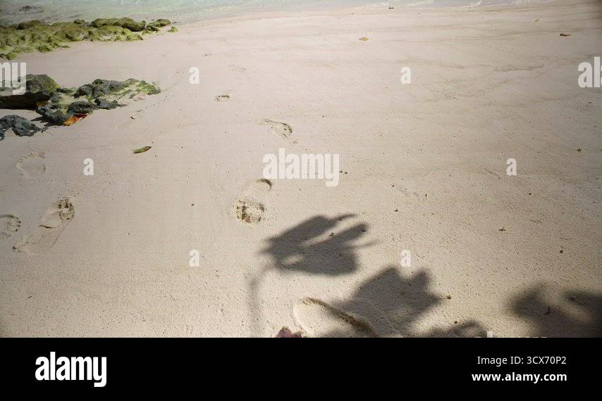 Daytime texture perfect bay beach Stock Videos & Footage - HD and 4K ...
