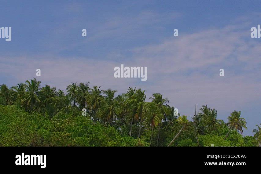 Warm nature of relaxing coast beach break by blue sea with white sand ...