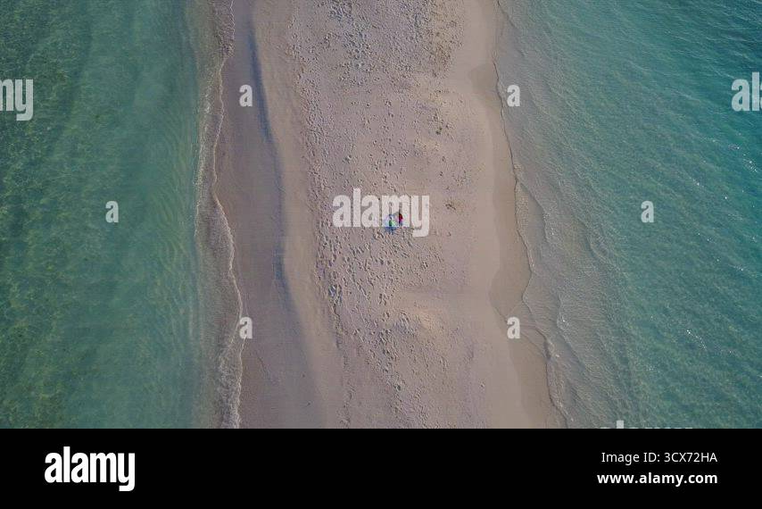 Empty landscape of perfect bay beach lifestyle by blue green water and ...