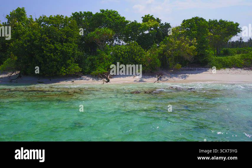 Copy space tourism of exotic coast beach vacation by blue green ocean ...