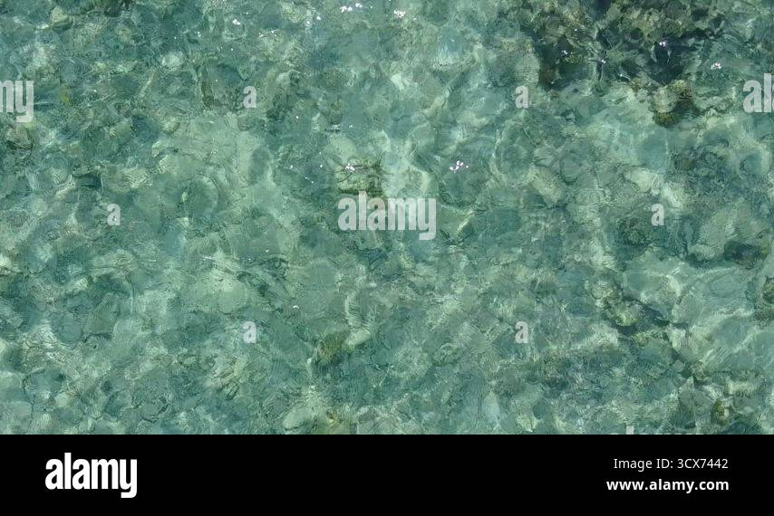 Summer travel of marine tourist beach break by aqua blue sea with white ...