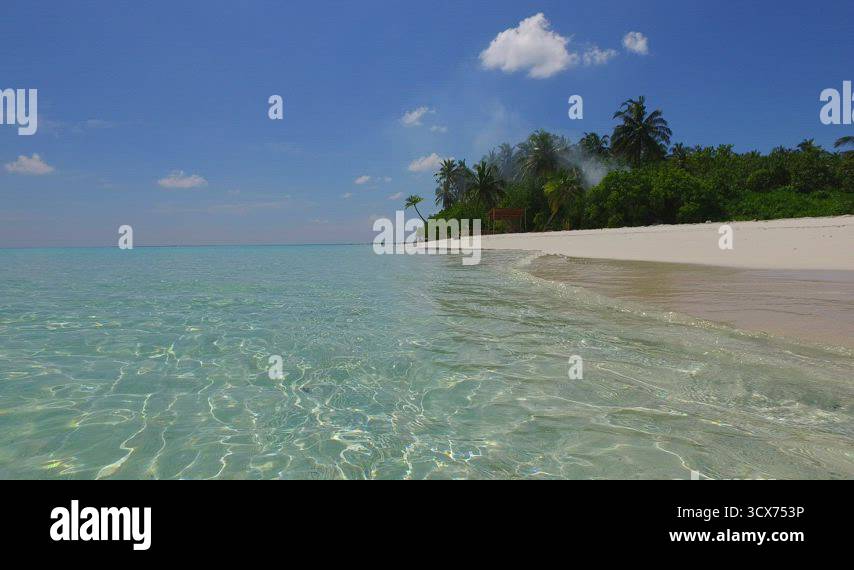 Daytime seascape of tropical tourist beach wildlife by blue green sea ...