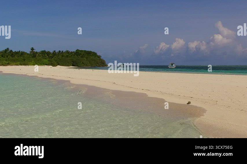 Copy space travel of beautiful resort beach wildlife by blue sea with ...