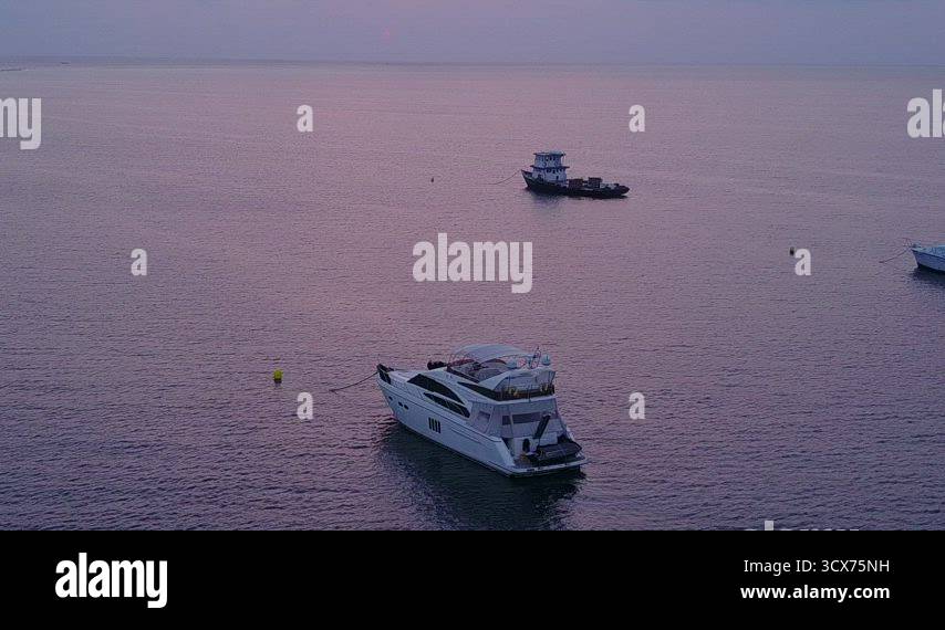 Copy space tourism of exotic resort beach wildlife by blue green sea ...