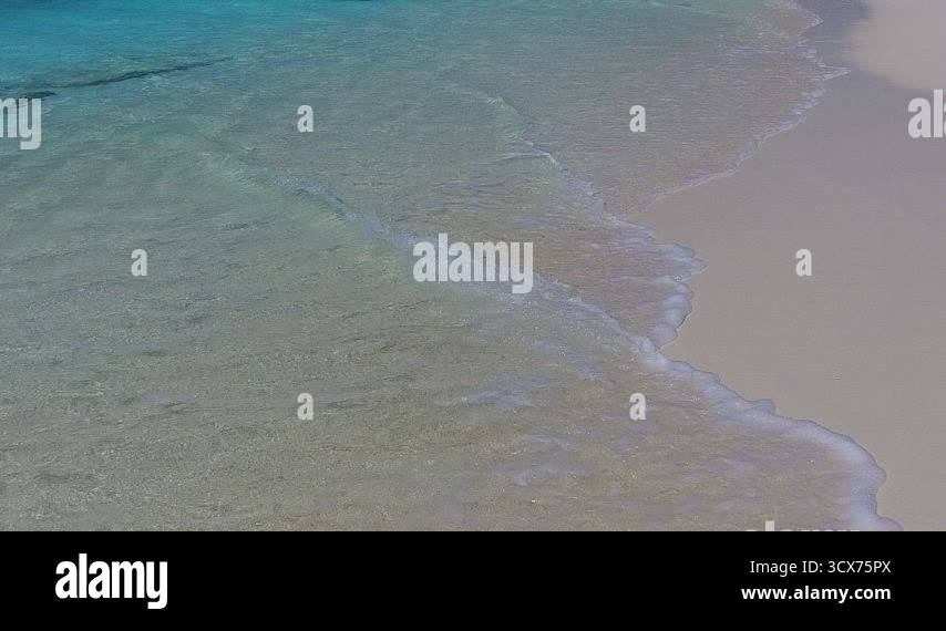 Sunny nature of exotic shore beach adventure by turquoise sea with ...