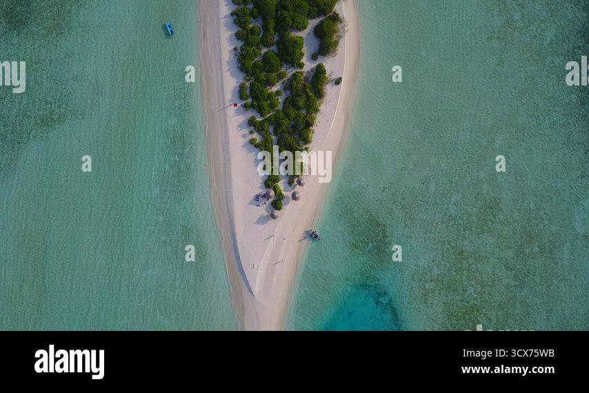 Daytime tourism of exotic coast beach wildlife by blue ocean and white ...