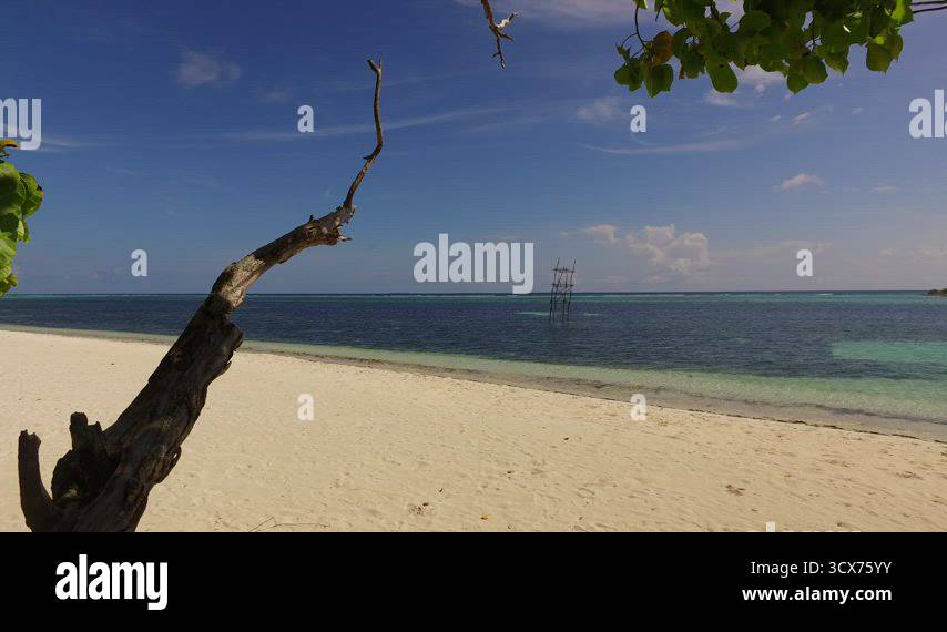 Romantic texture of tropical lagoon beach adventure by blue ocean with ...