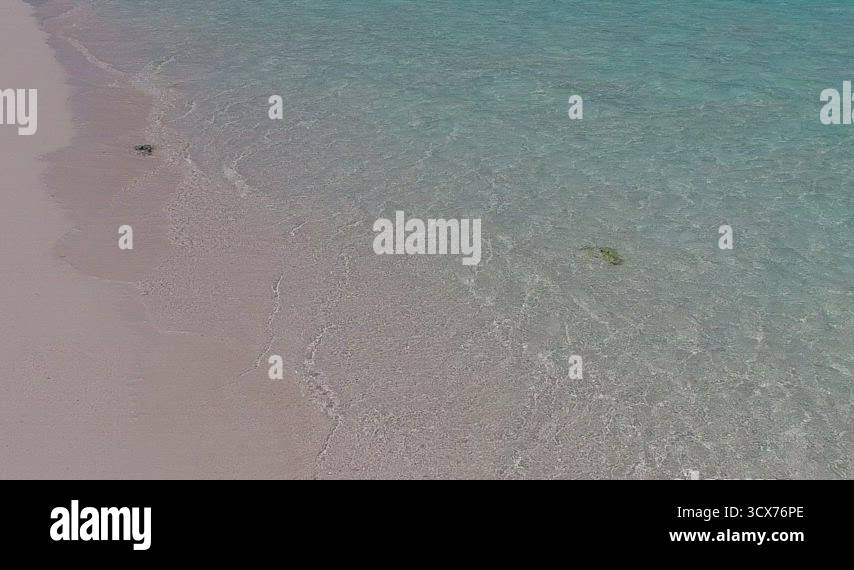 Close up nature of luxury island beach time by clear water with bright ...