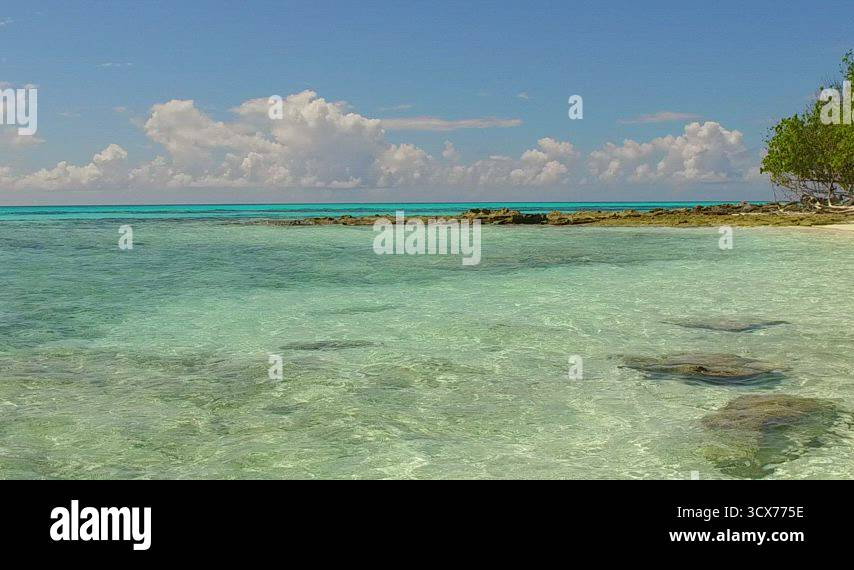 Summer tourism of paradise resort beach vacation by clear sea with ...