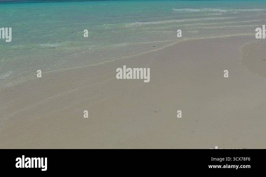 Wide angle nature of perfect shore beach holiday by transparent ocean ...