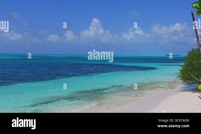 Close up abstract of exotic seashore beach trip by transparent lagoon ...