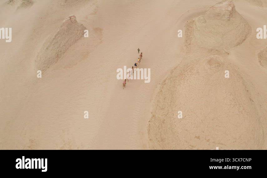 Camel troop in wind erosion terrain landscape, yardang landform Stock ...