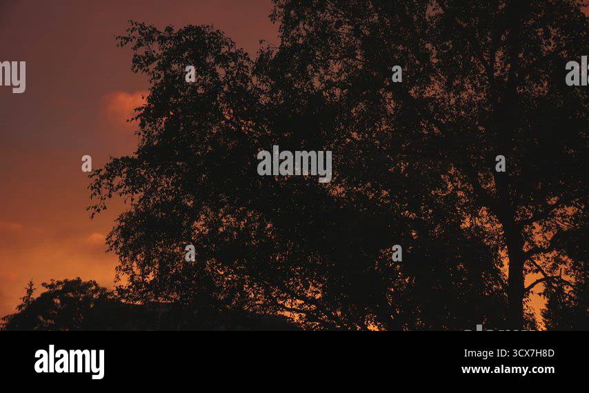 Sunrise sky speed up Stock Videos & Footage - HD and 4K Video Clips - Alamy