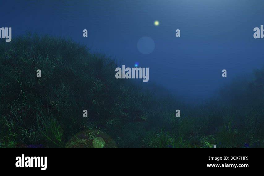 deep underwater grass hd Stock Video Footage - Alamy
