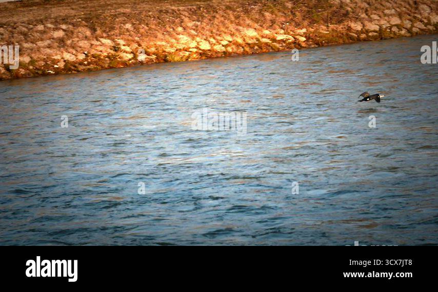 River in motion Stock Videos & Footage - HD and 4K Video Clips - Alamy