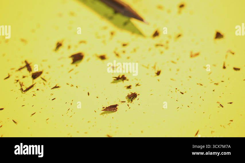 Sharpen pencil on colored background Stock Video Footage - Alamy
