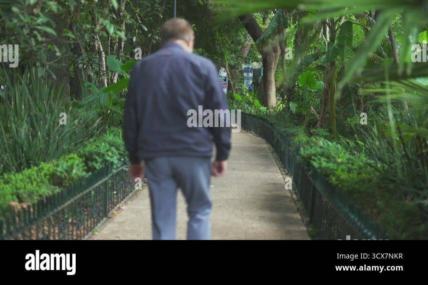 Man walking on path surrounded Stock Videos & Footage - HD and 4K Video ...