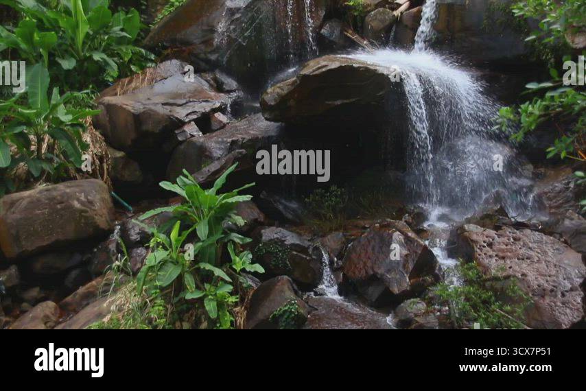 Clean natural park Stock Videos & Footage - HD and 4K Video Clips - Alamy