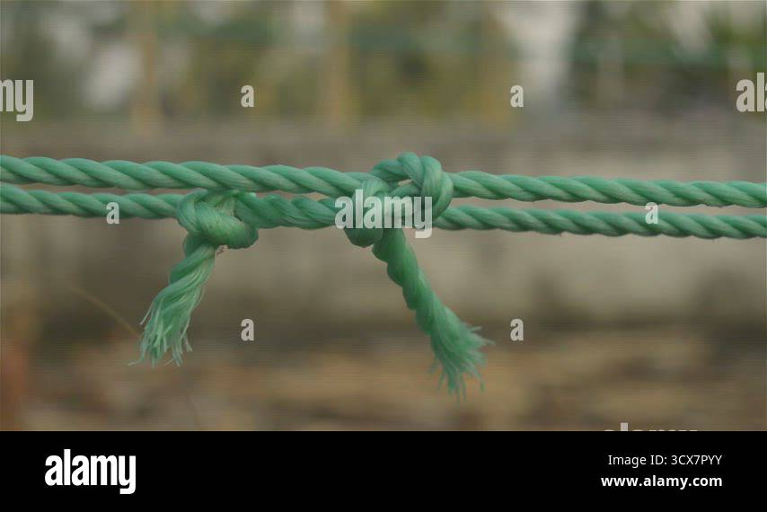 Rope tie knot Closeup. Rope with a two tied knot in the middle isolated ...