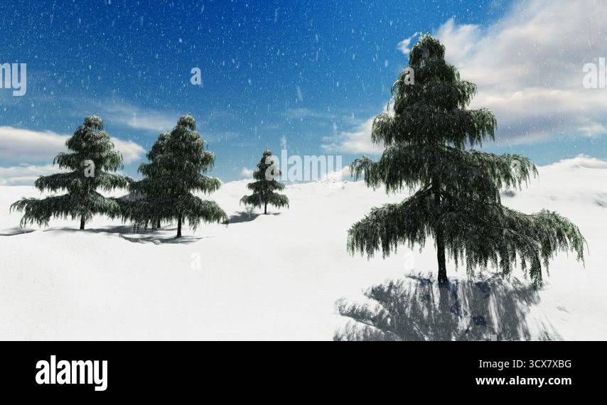 Snow over winter trees calm day Stock Video Footage - Alamy