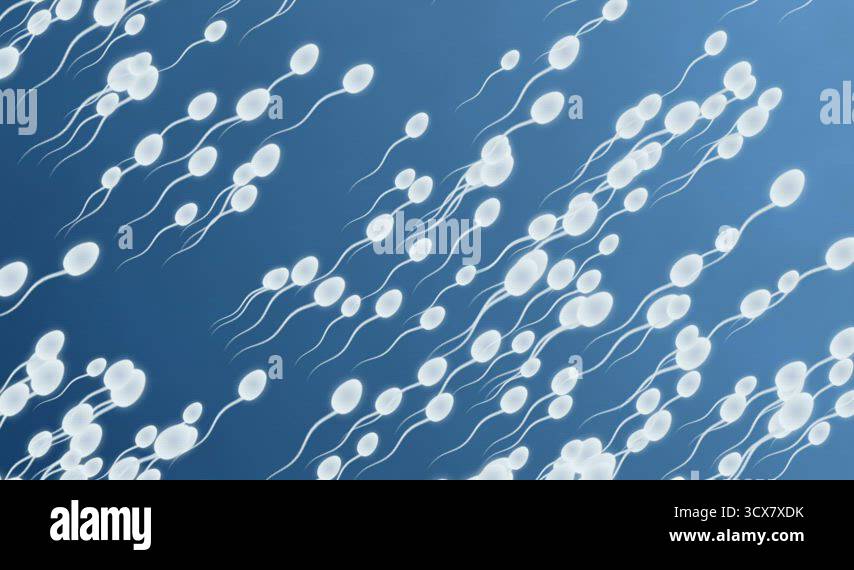 Sperm cells are moving on a blue background, motion graphics Stock ...