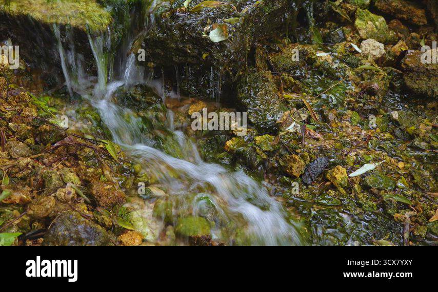 A small waterfall, a fast stream of fresh water flows out of the spring ...