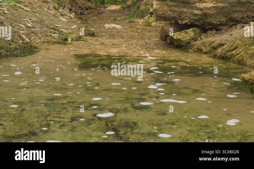 Pure fresh water flows out from under the rocks, a stream with fresh ...