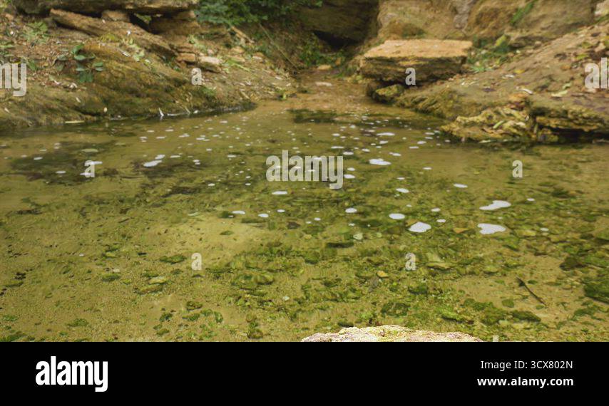 Pure fresh water flows out from under the rocks, a stream with fresh ...