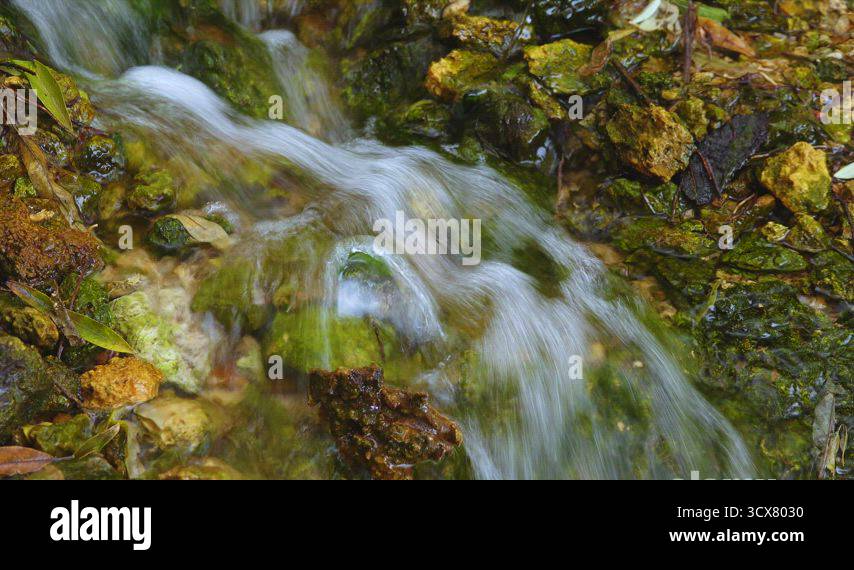 A small waterfall, a fast stream of fresh water flows out of the spring ...