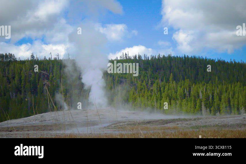 Geyser Old Faithful erupts in Yellowstone National Park in Wyoming, USA ...