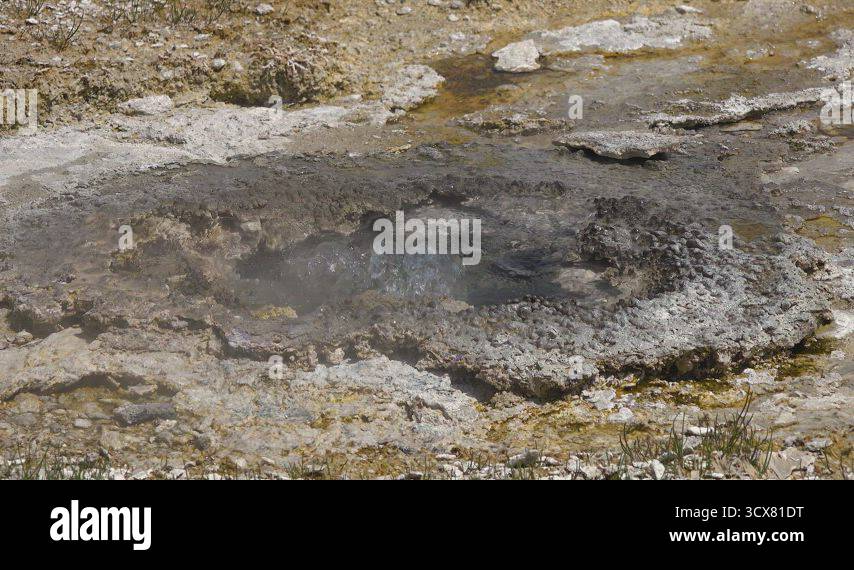 Boiling water bubbler Geyser. Active geyser with major eruptions ...