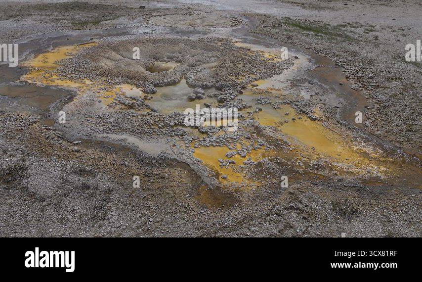 Algae-bacterial mats. Hot thermal spring, hot pool in the Yellowstone ...
