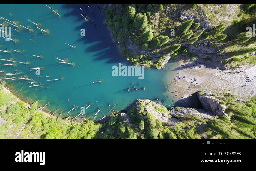 Coniferous trees rise from depths of mountain lake Stock Video Footage ...