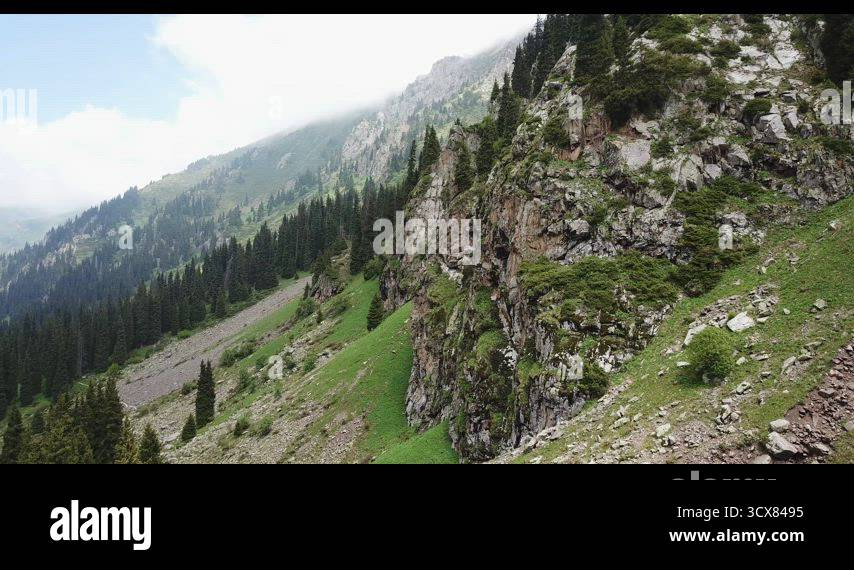 Green gorge with forest in the mountains Stock Video Footage - Alamy