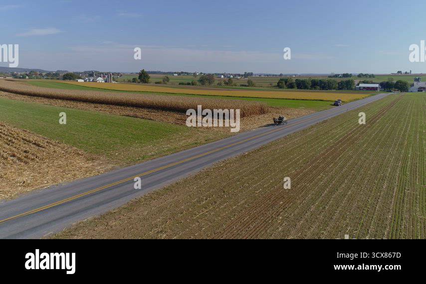 Amish buggy corn field Stock Videos & Footage - HD and 4K Video Clips ...