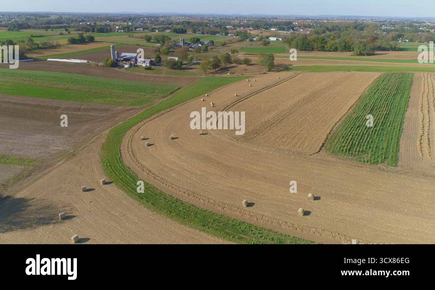 Harvested Corn Fields and Rolled Corn Stalks and Amish Farms on a Sunny ...