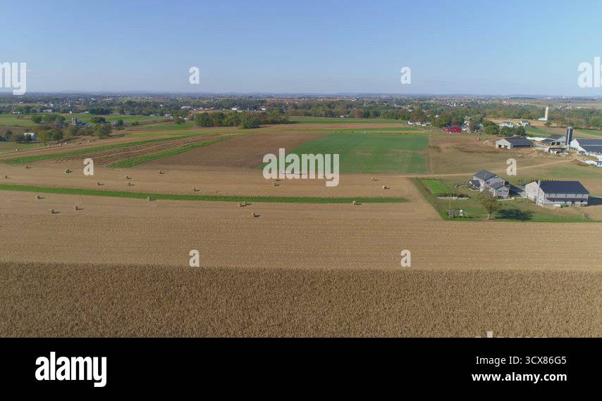 Harvested Corn Fields and Rolled Corn Stalks and Amish Farms on a Sunny ...
