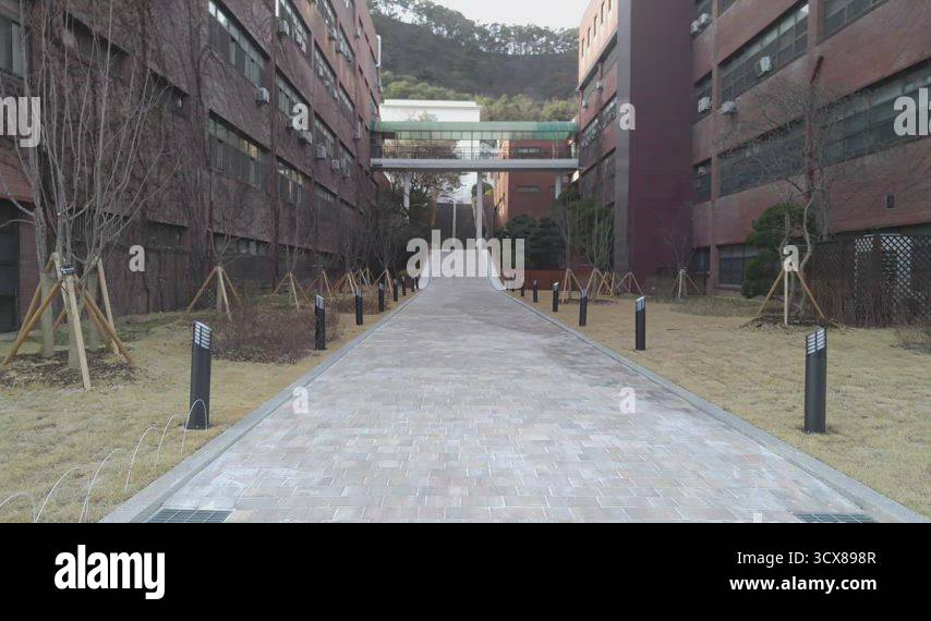 Walk on paved concrete pathway made of bricks Stock Video Footage - Alamy