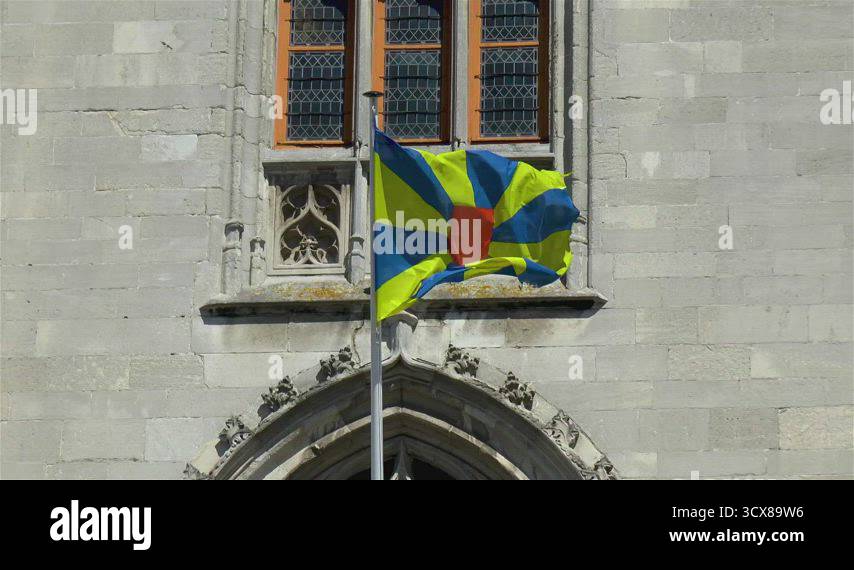 Flanders flag Stock Videos & Footage - HD and 4K Video Clips - Alamy